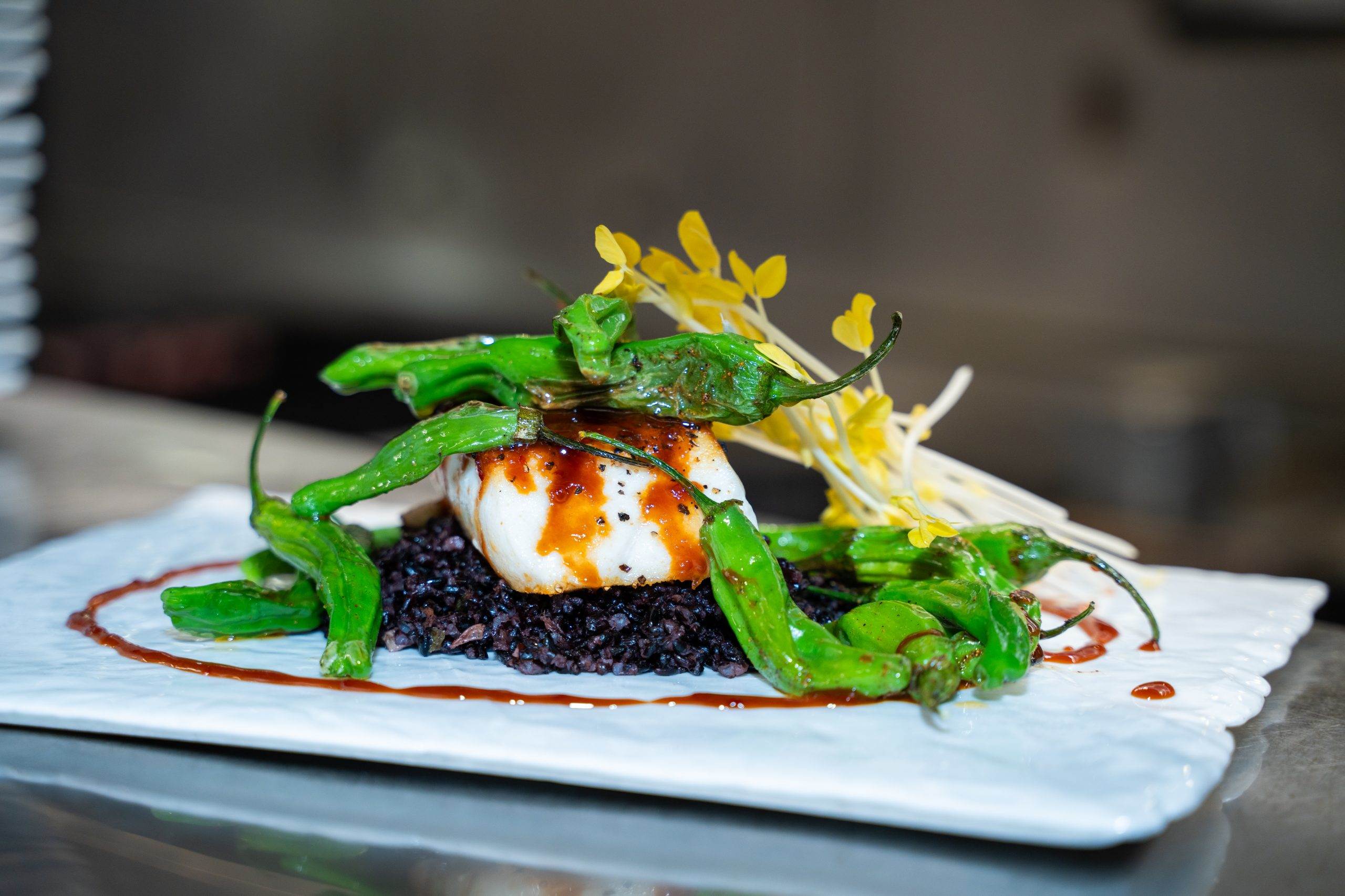 Martini Bay – Get the Best of Everything